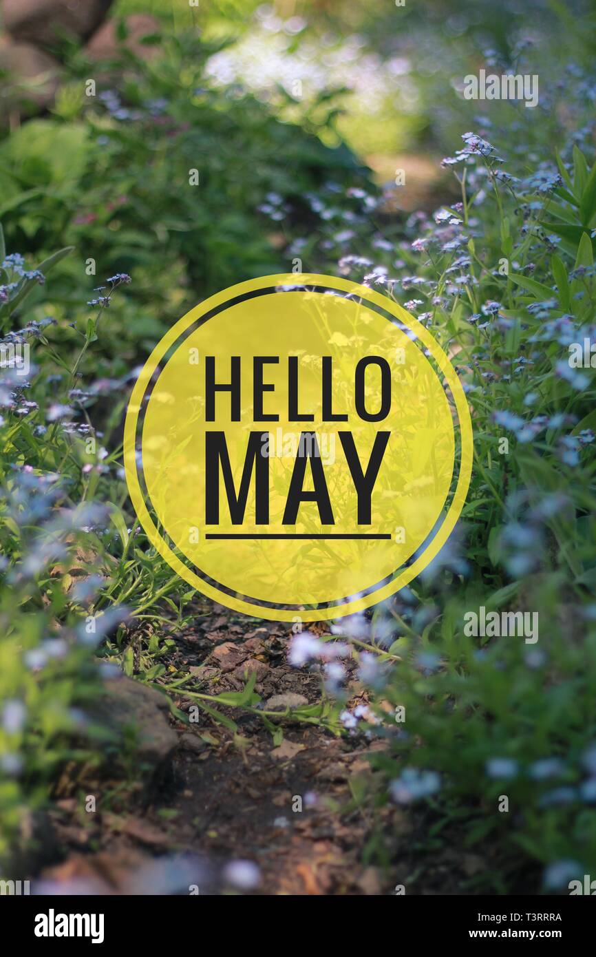 Banner hello may. Welcome picture. New month. Warm month. the month of ...
