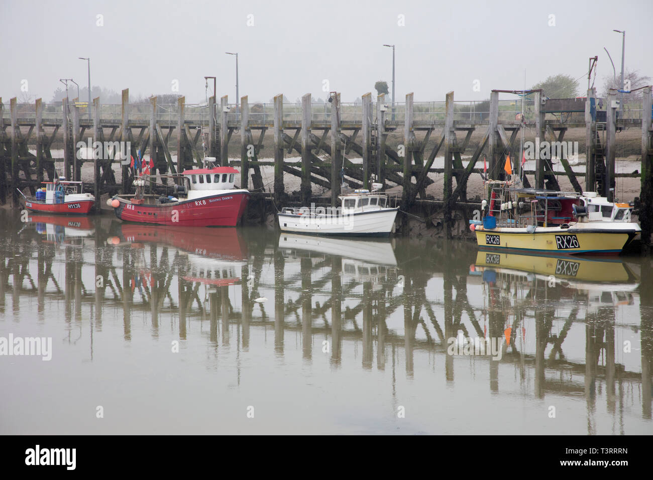 Water for rye hi-res stock photography and images - Alamy