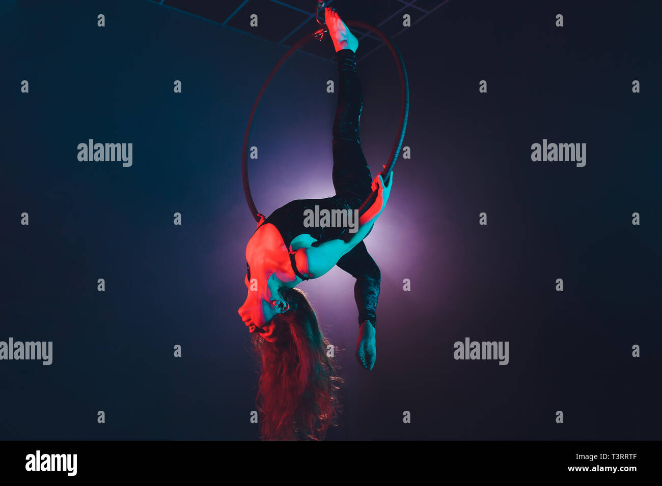 Aerial acrobat in the ring. A young girl performs the acrobatic ...