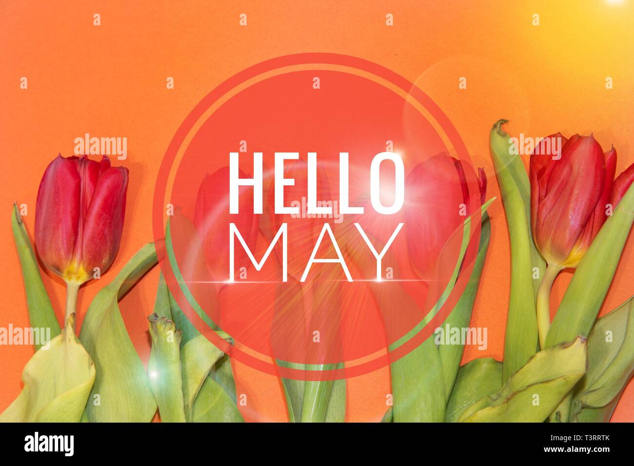 Banner hello may. Welcome picture. New month. Warm month. the month of ...