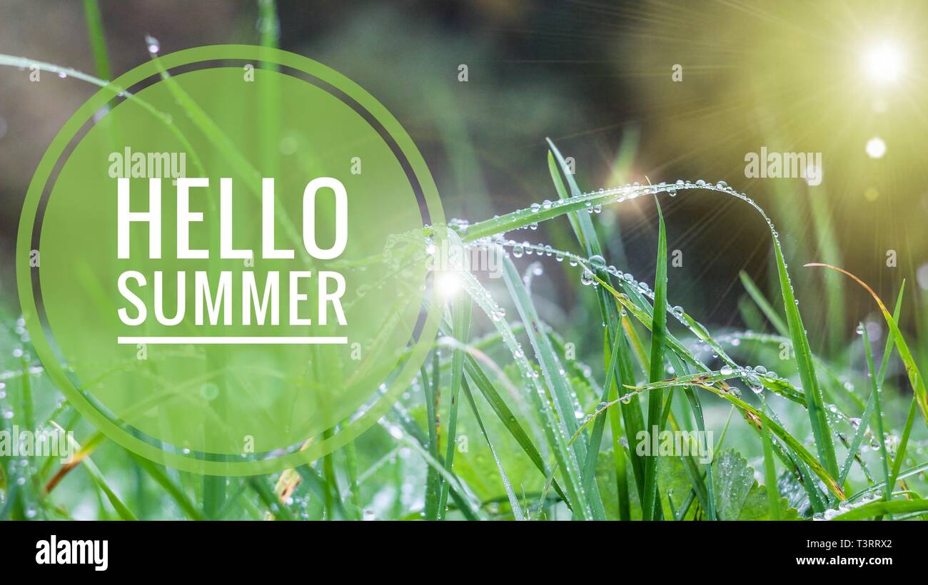 Banner hello may. Welcome picture. New month. Warm month. the month of ...