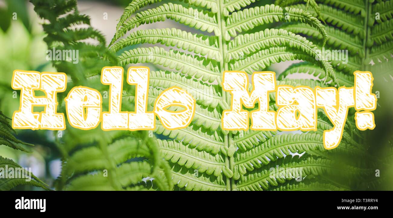 Banner hello may. Welcome picture. New month. Warm month. the month of ...