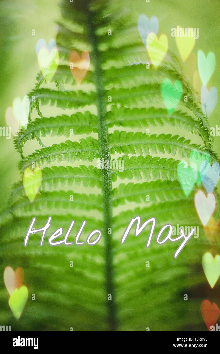 Banner hello may. Welcome picture. New month. Warm month. the month of ...