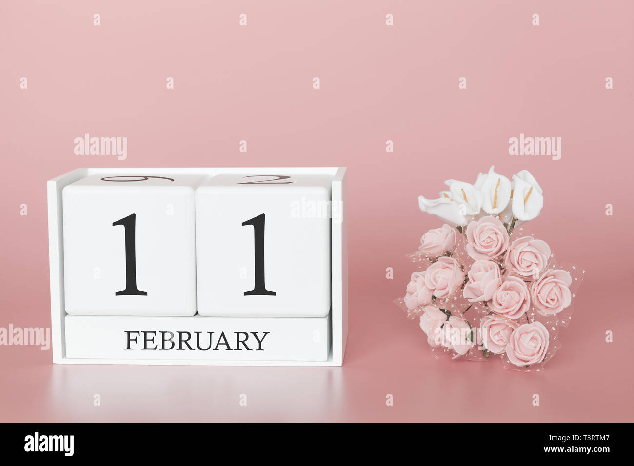 February 11th. Day 11 of month. Calendar cube on modern pink background ...