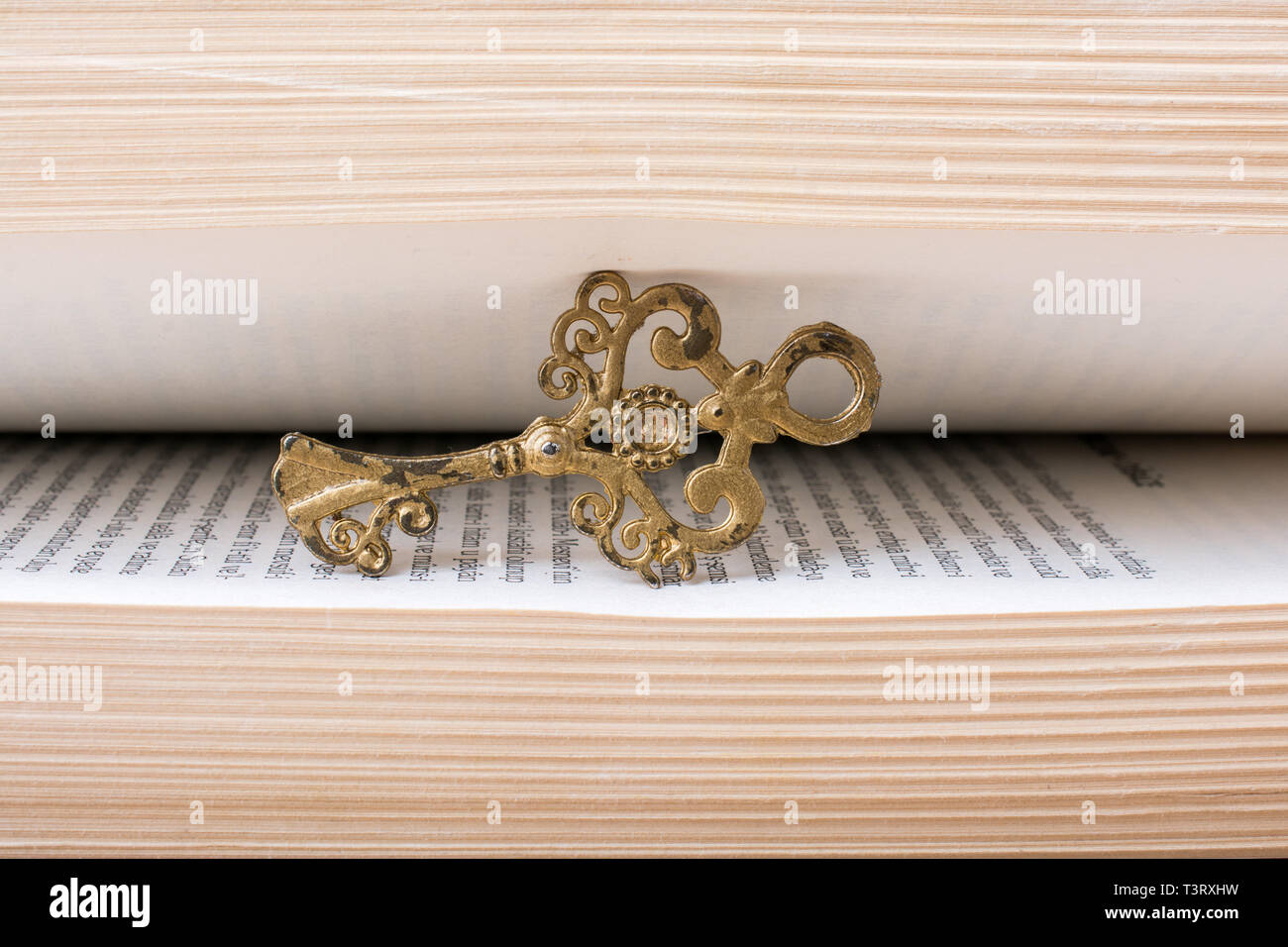 Retro style key placed in a book on a canvasbackground Stock Photo - Alamy