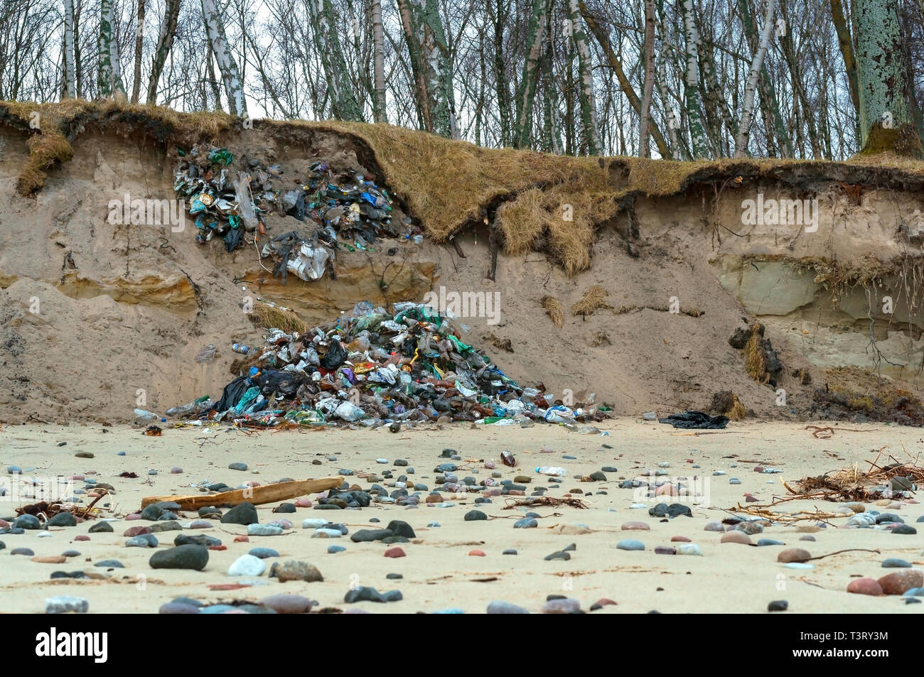 plastic waste glass bottles in nature, garbage left by man in the ...