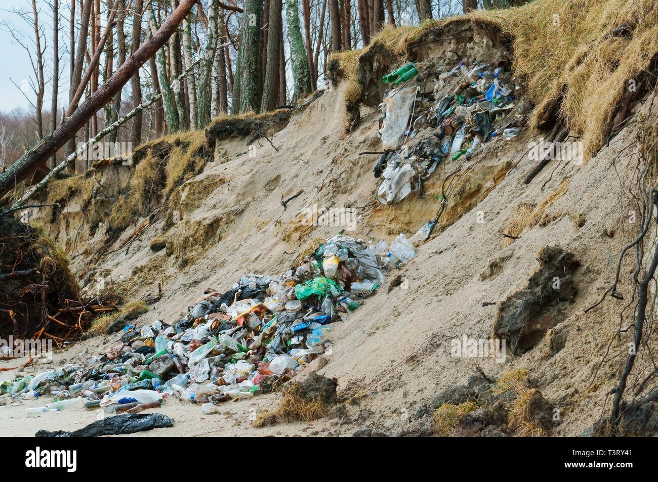 plastic waste glass bottles in nature, garbage left by man in the ...