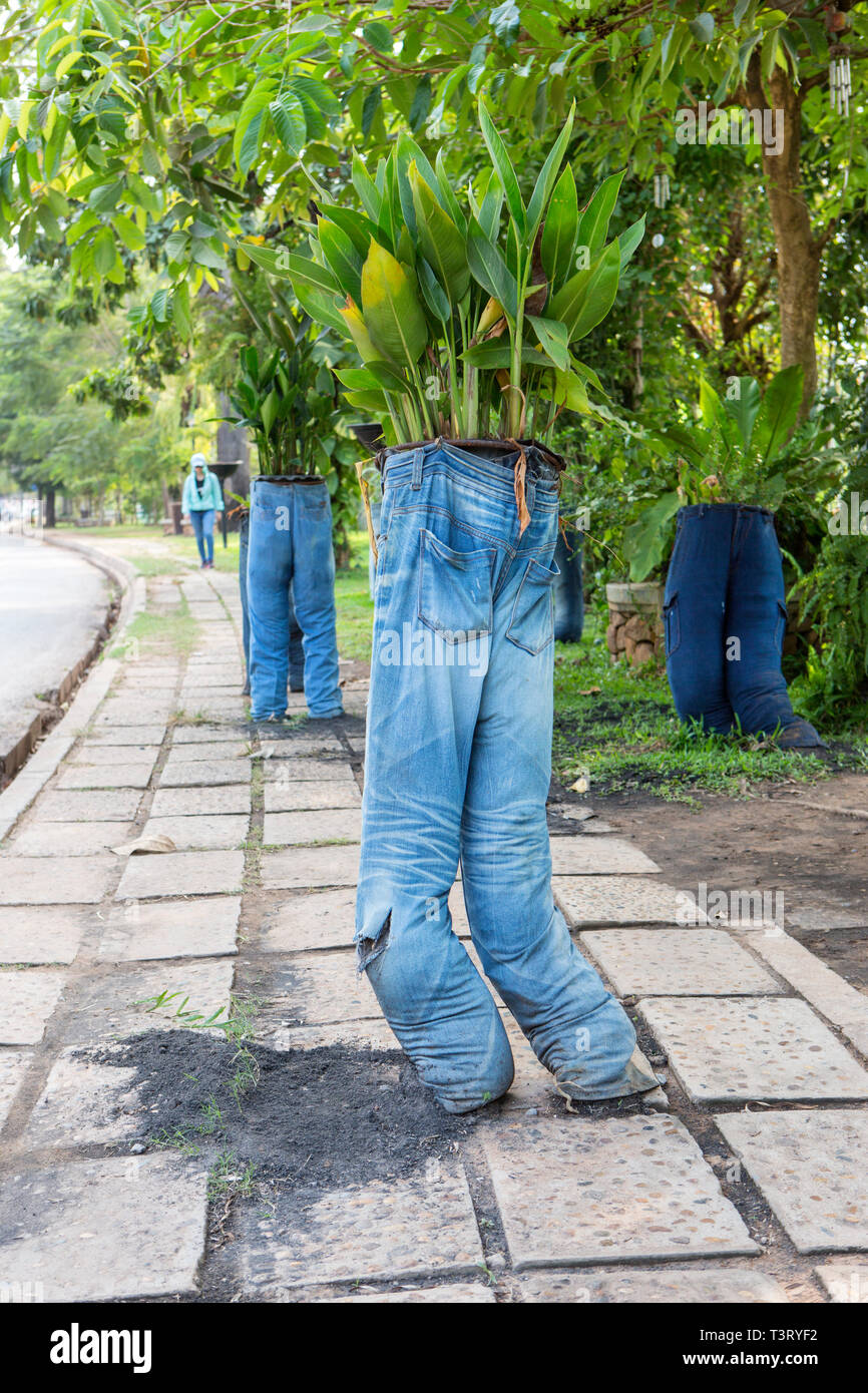 Denim plant pots, Siem Reap, Cambodia Stock Photo - Alamy