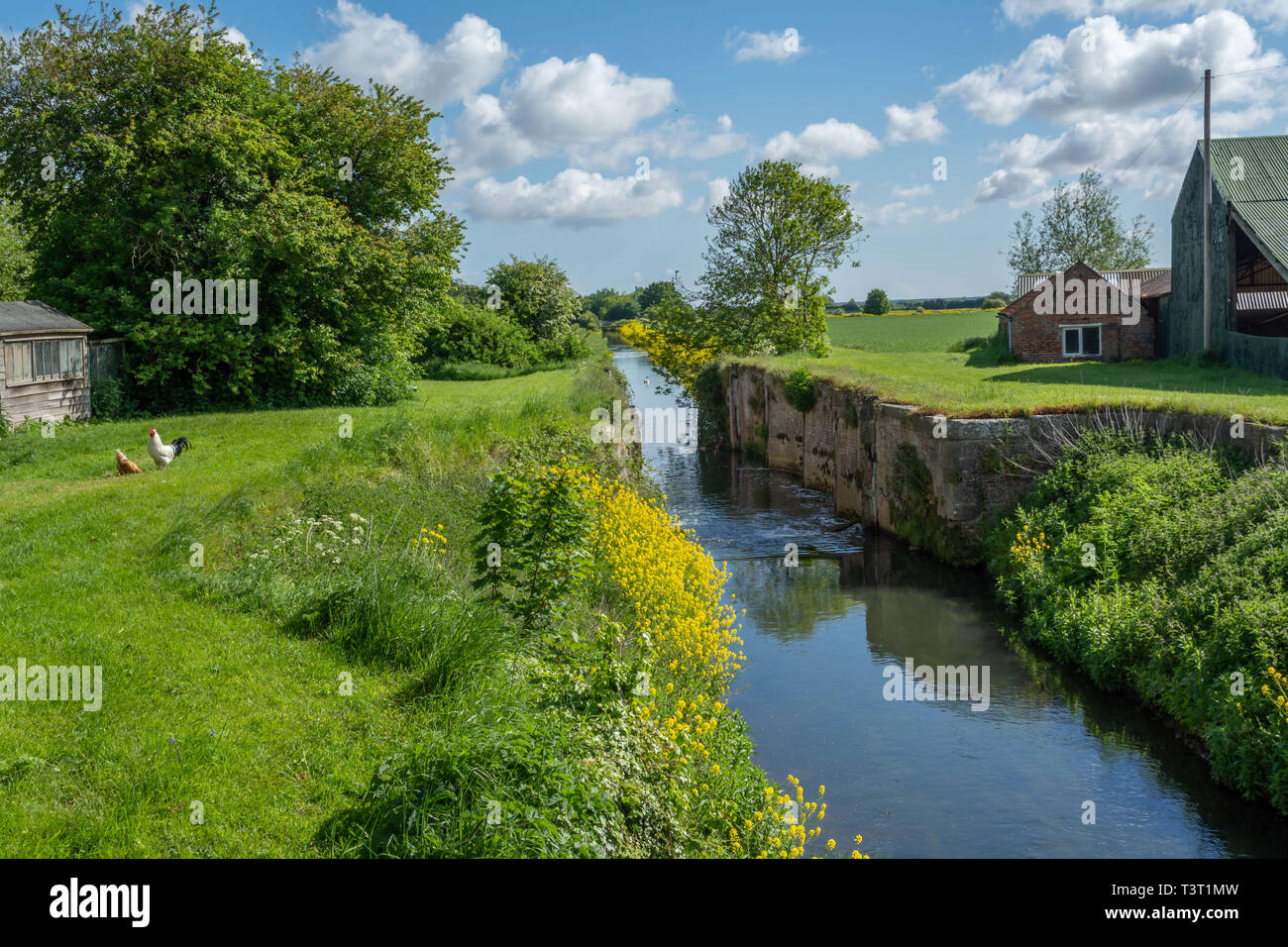 Louth Canal at Alvingham Stock Photo - Alamy