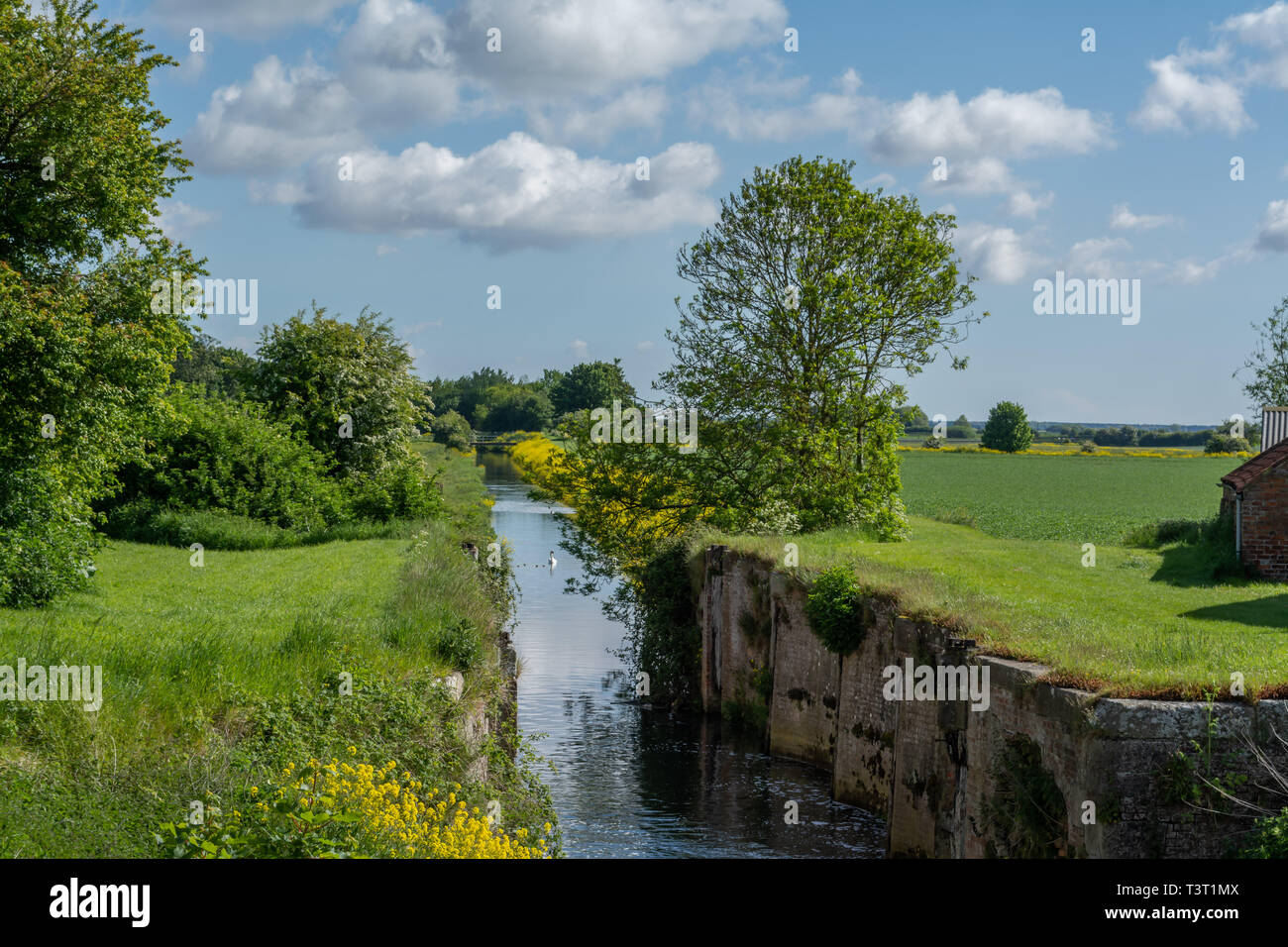 Louth Canal at Alvingham Stock Photo - Alamy