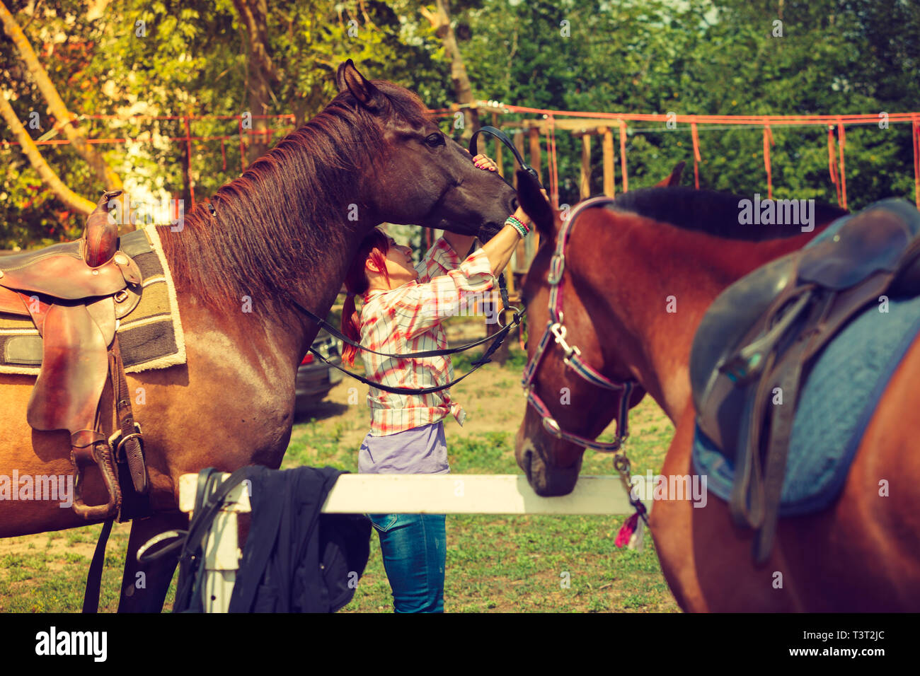 Taking care of animals, horsemanship, equine concept. Redhead cowgirl ...
