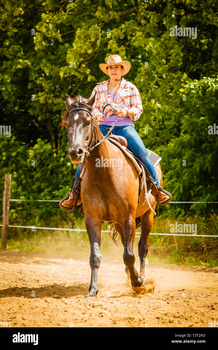 Taking care of animals, horsemanship, western competitions concept ...