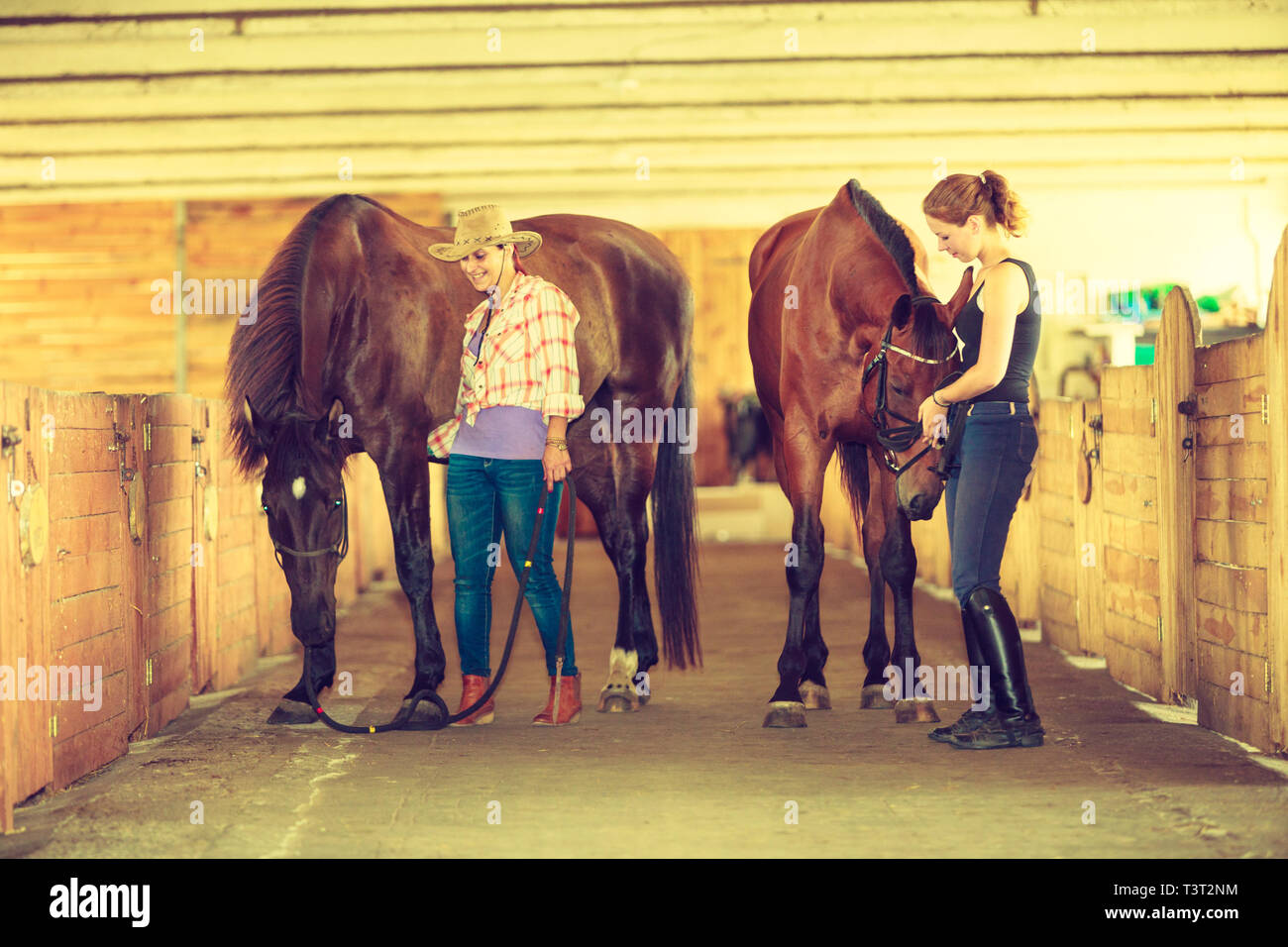 Western ride, relations through passion concept. Cowgirl in cowboy hat ...