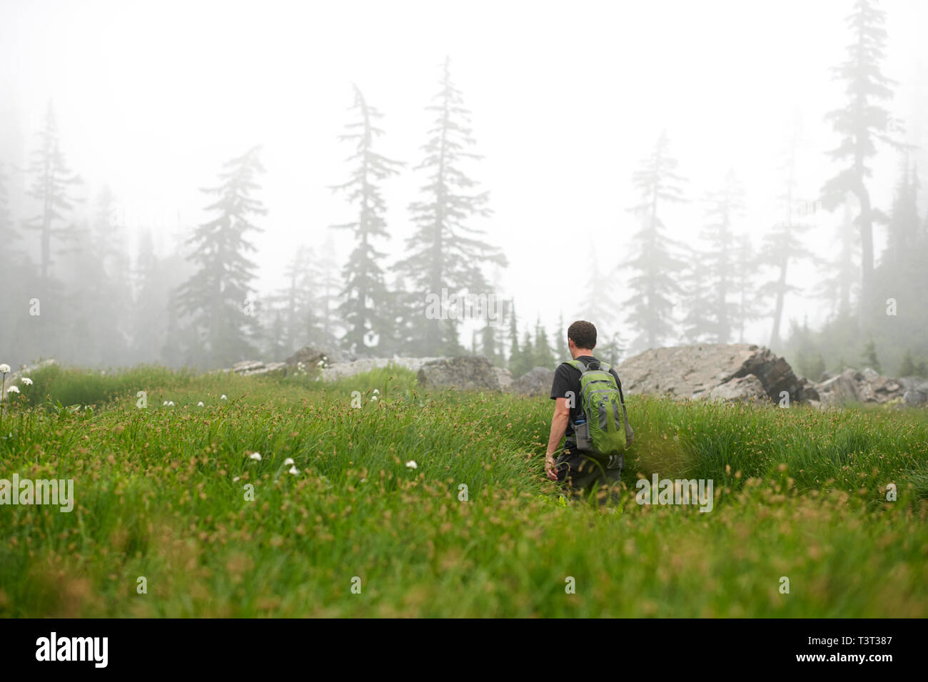 Man hiking in rural field Stock Photo - Alamy