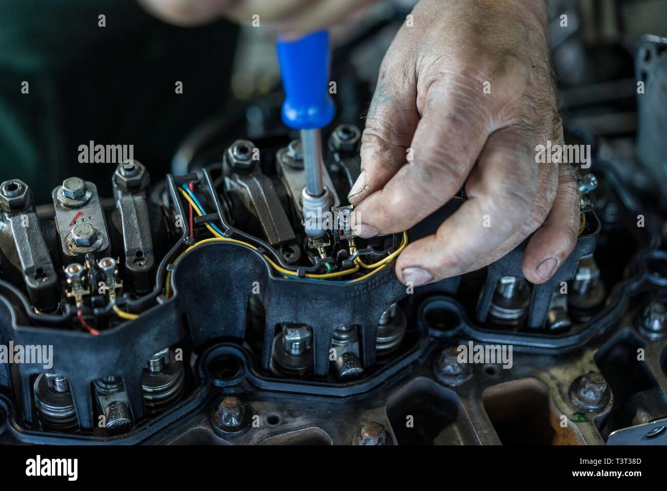 Car engine is being repaired, car repair shop, North Rhine-Westphalia ...