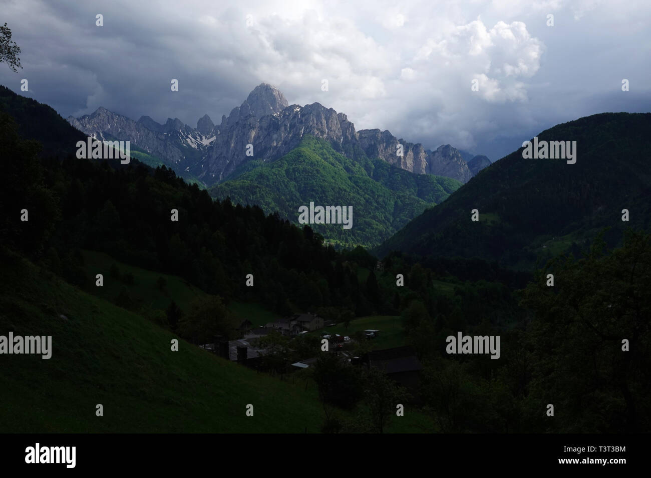 Carnia hi-res stock photography and images - Alamy