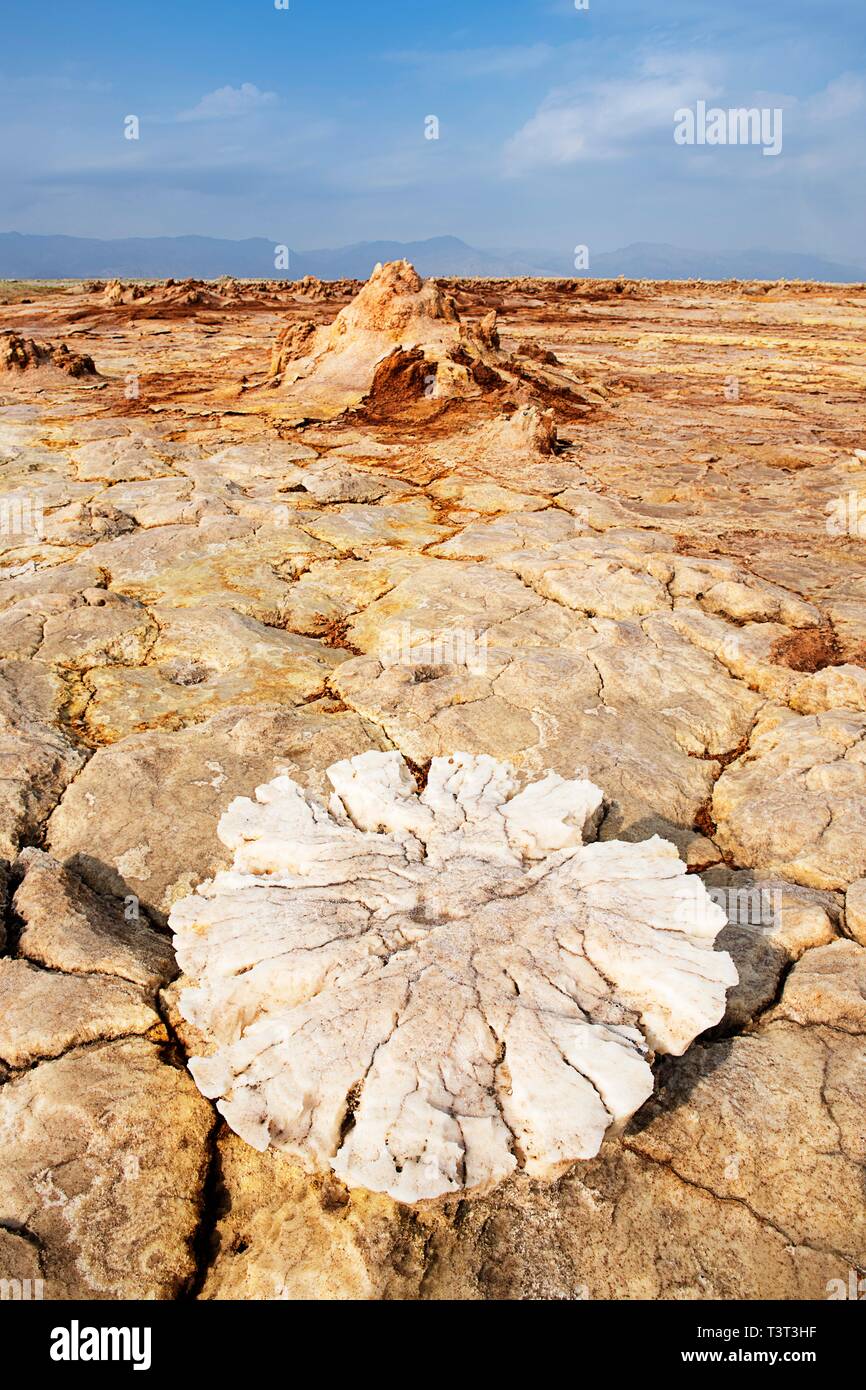 Huge salt efflorescence hi-res stock photography and images - Alamy