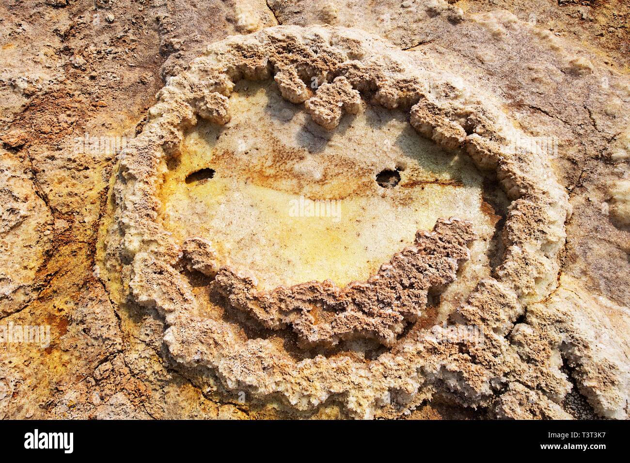 Salt deposits, smiley face from a salt crust, geothermal area Dallol ...