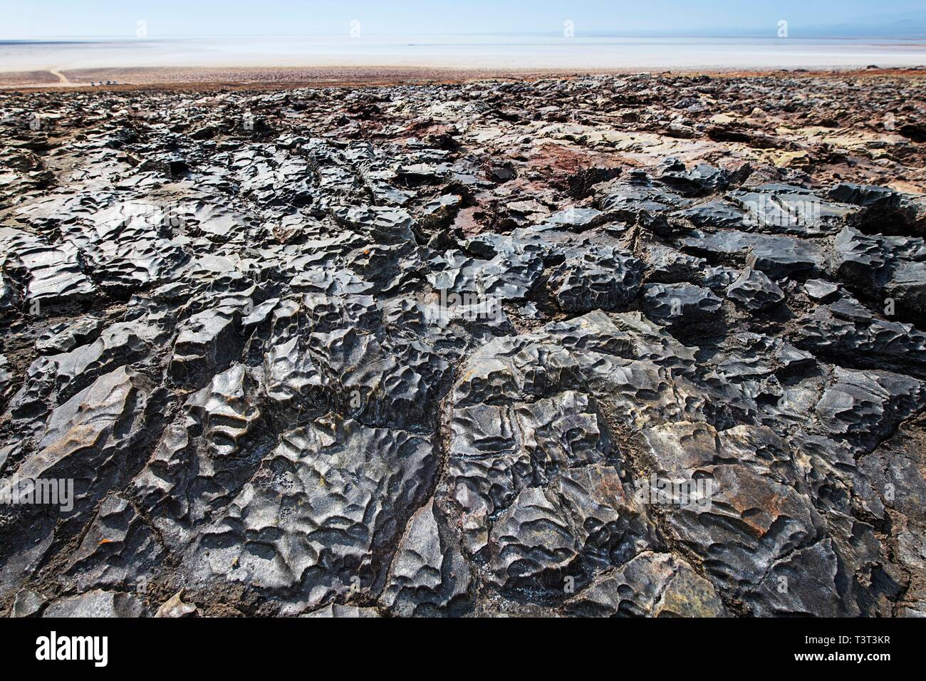 Petrified salt crust, Karumsee, Danakil valley, Ethiopia Stock Photo ...