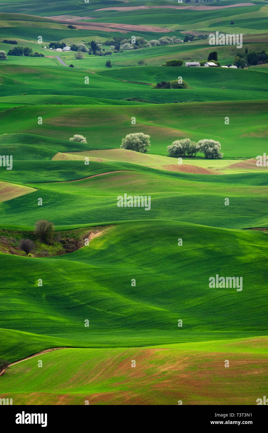 Rolling green hills in rural landscape Stock Photo - Alamy