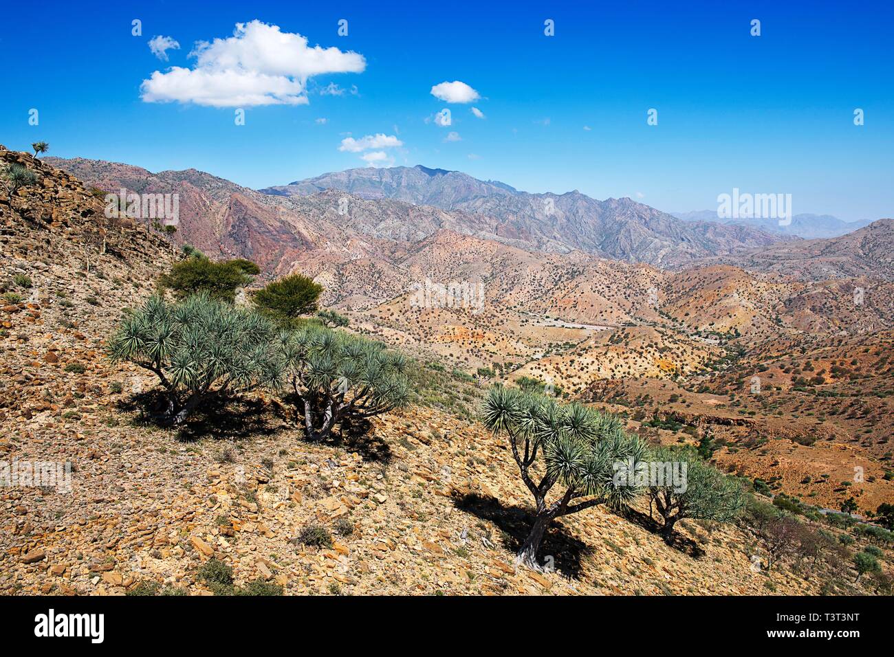 Barren plateau, mountain landscape near Wukro in front of the Gheralta ...