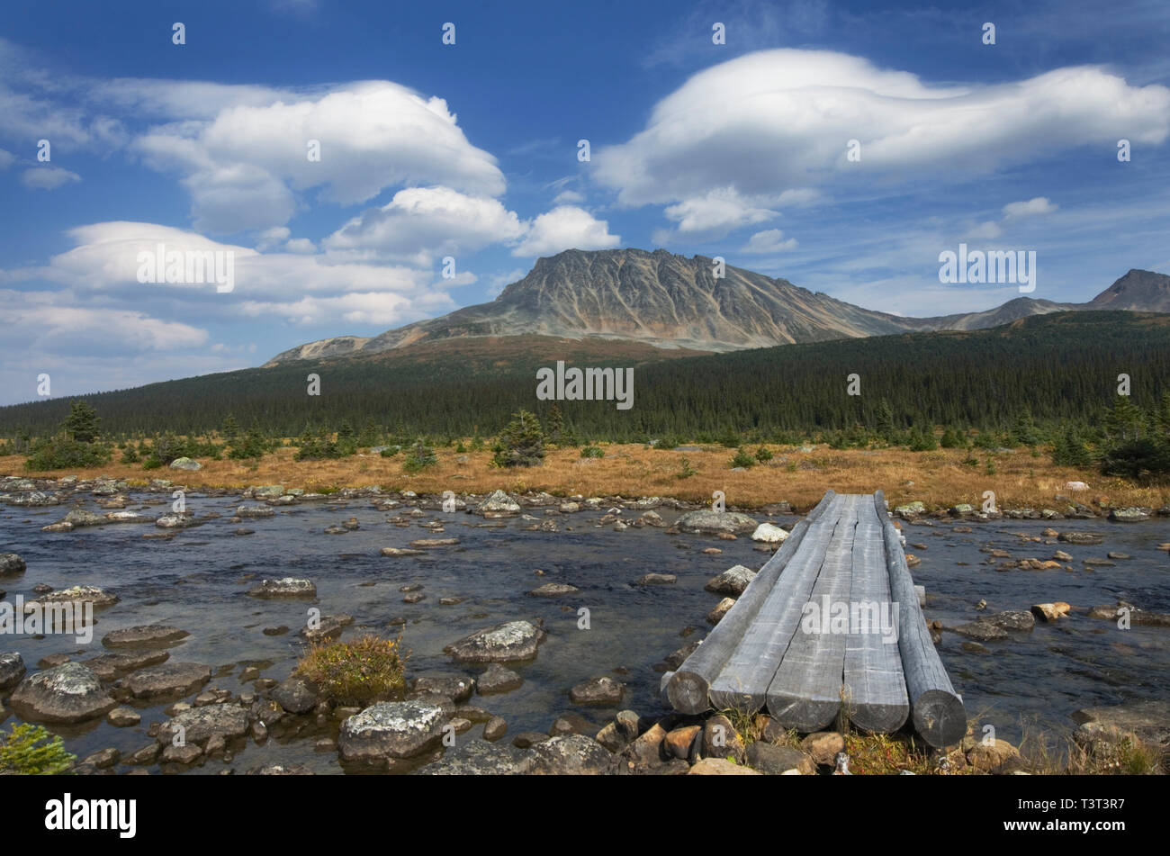 Concrete footbridge over river in remote landscape Stock Photo - Alamy