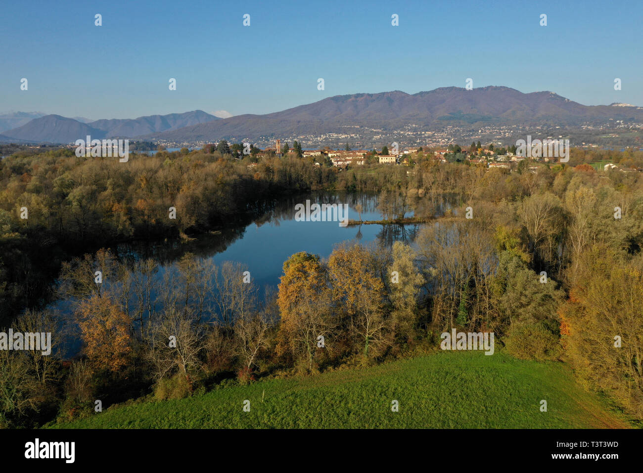 Seasonal swamp hi-res stock photography and images - Alamy