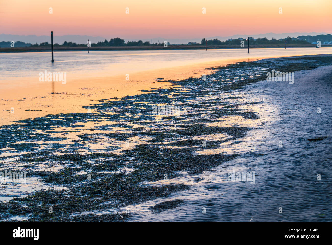 summer twilight over the shoreline inside the lagoon in Bibione, Italy ...