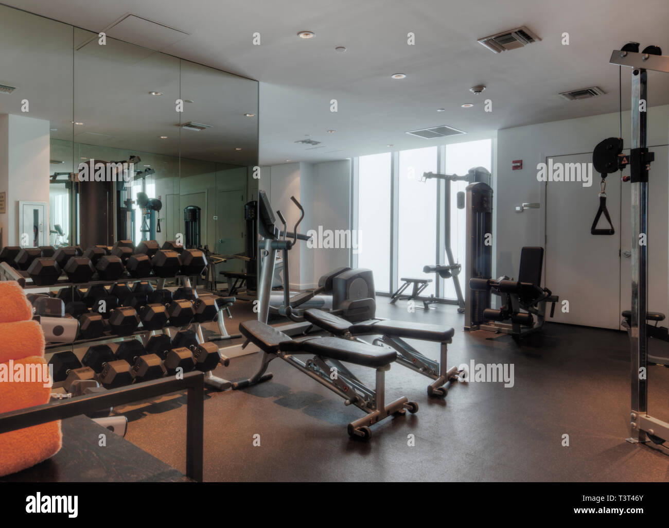 Empty weights in gymnasium Stock Photo - Alamy