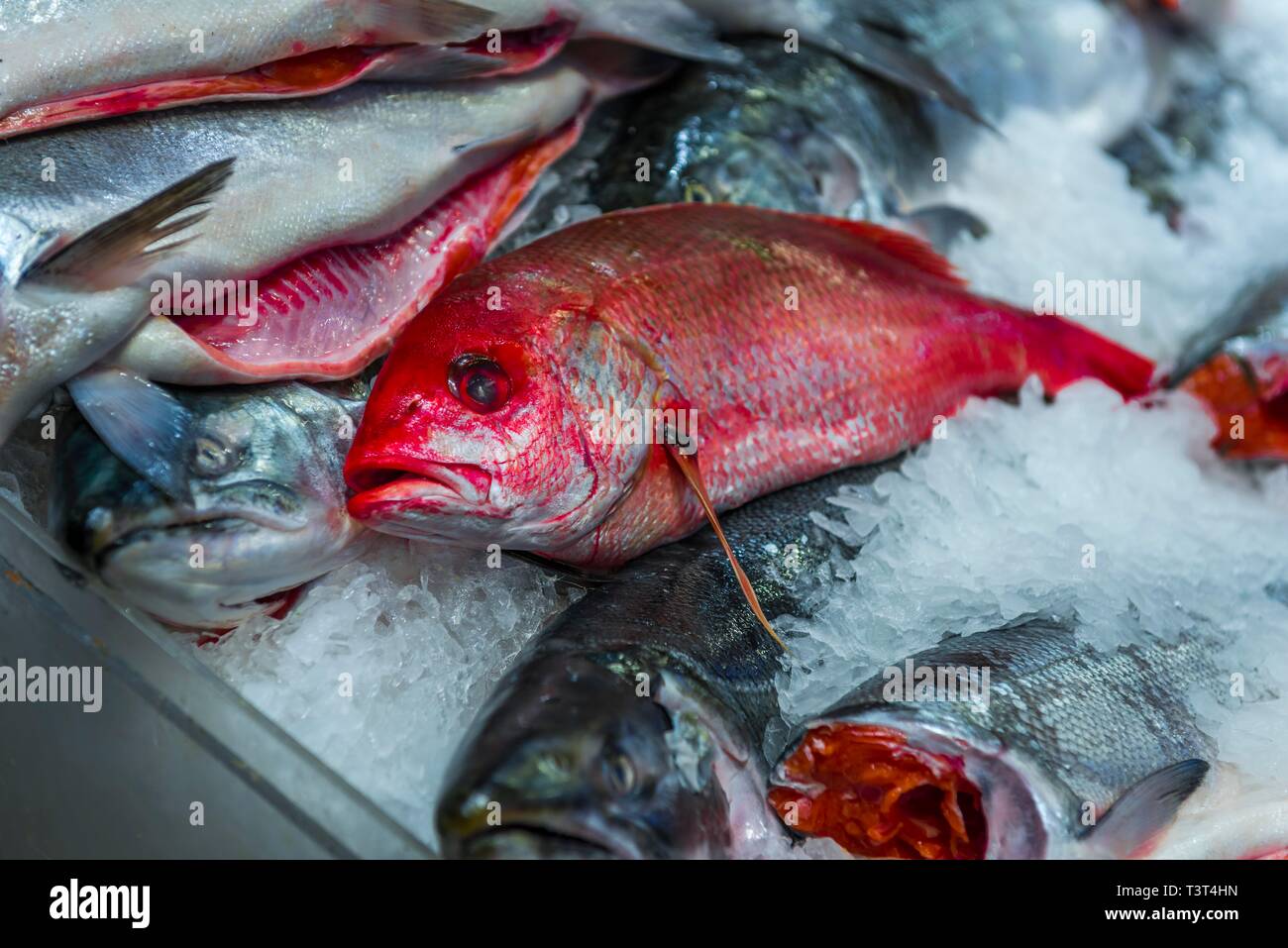 Public Market, fish market, display of edible fish, Red Snapper, at a ...