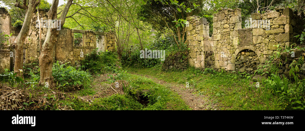 Ruin buildings on dirt path in remote forest Stock Photo - Alamy