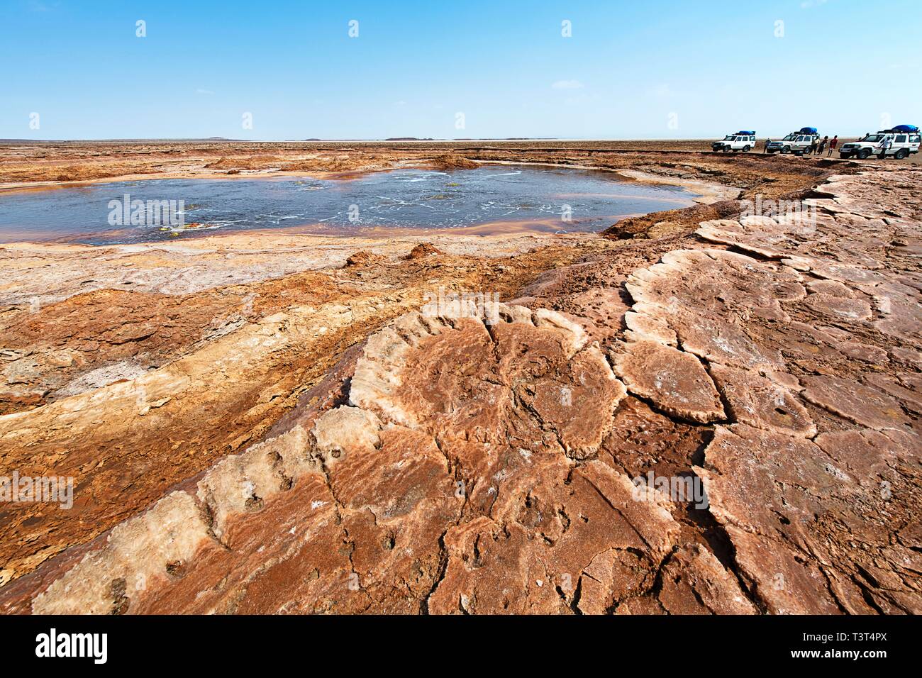 Salt lake with geothermal spring and petrified salt crystals hi-res ...