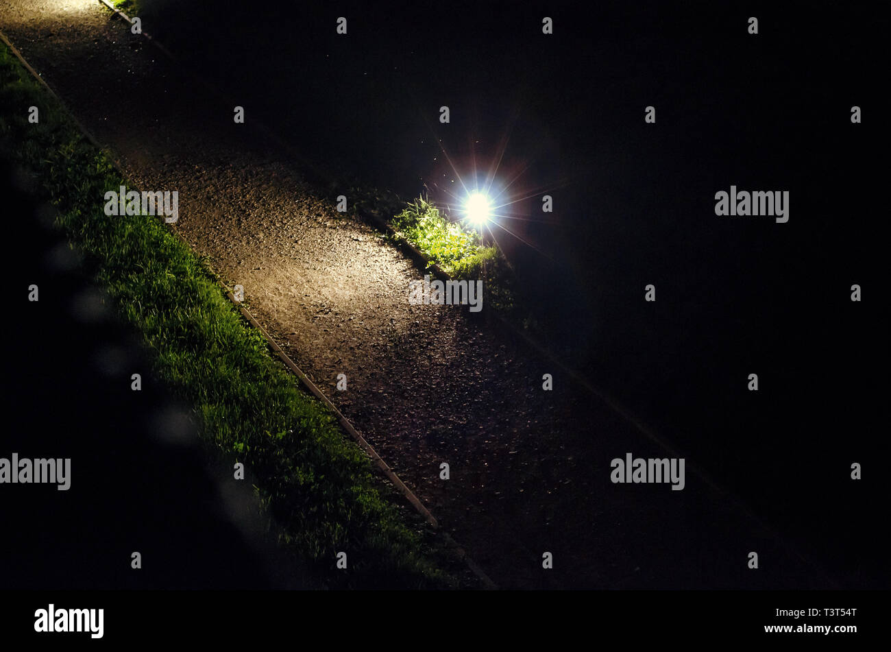 Decorative night lighting in the park, lights, paths Stock Photo - Alamy
