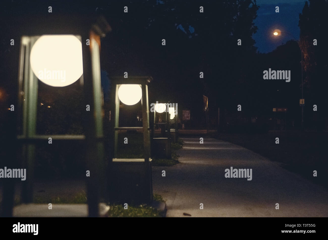 Decorative night lighting in the park, lights, paths Stock Photo - Alamy