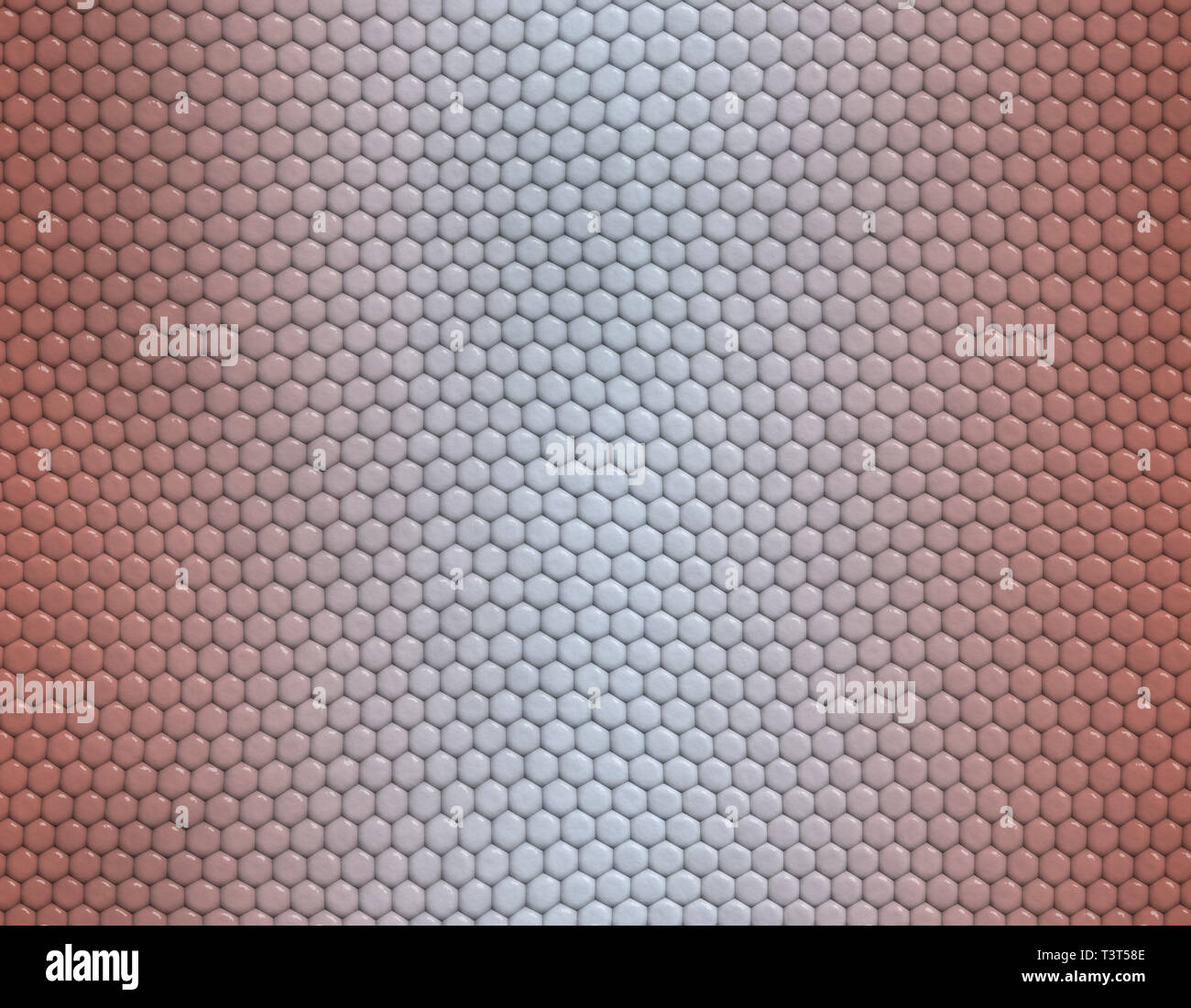 Pink and white gradient snake skin seamless pattern, hexagonal scale ...