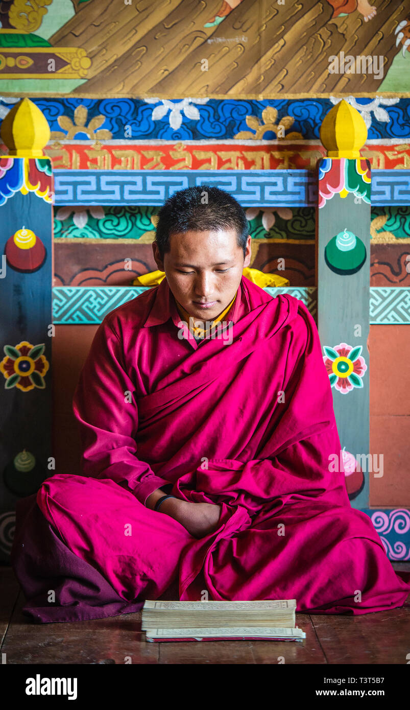 Asian monk reading on temple floor Stock Photo - Alamy