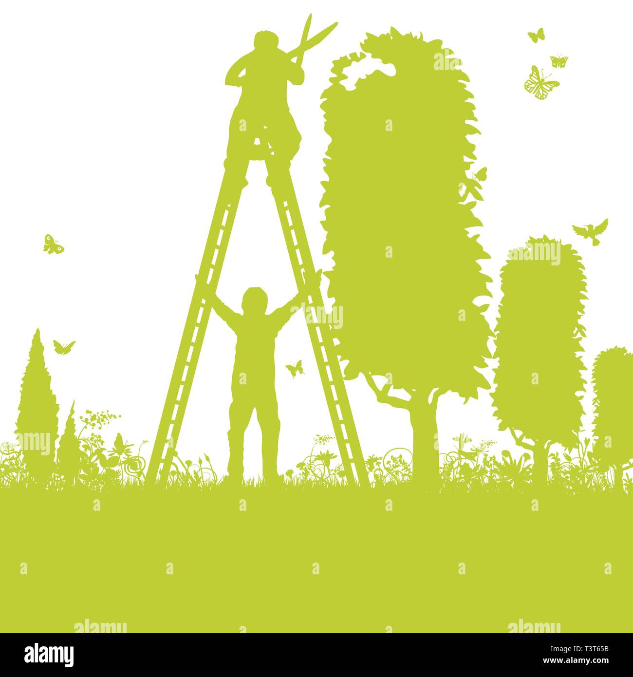 Gardener pruning and cutting the trees Stock Vector Image & Art - Alamy