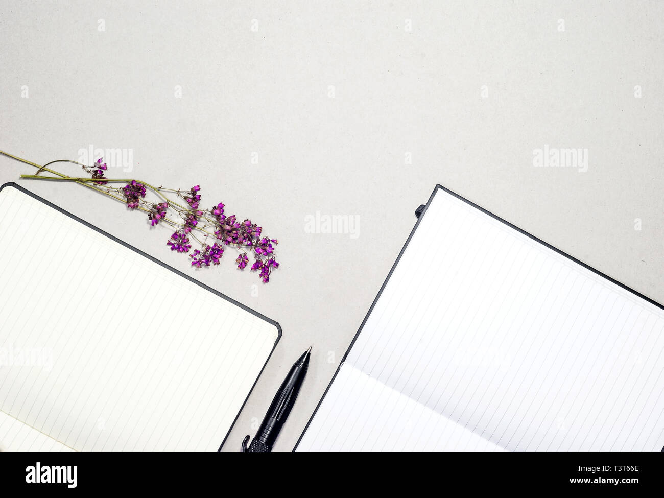 School poems hi-res stock photography and images - Alamy