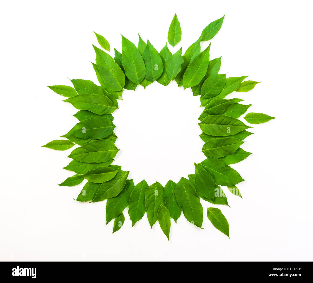 Round frame from green leaves Stock Photo - Alamy