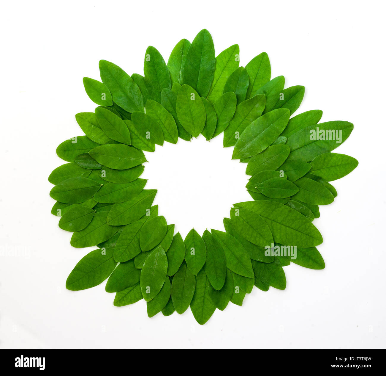 Green Round Frame High Resolution Stock Photography and Images - Alamy