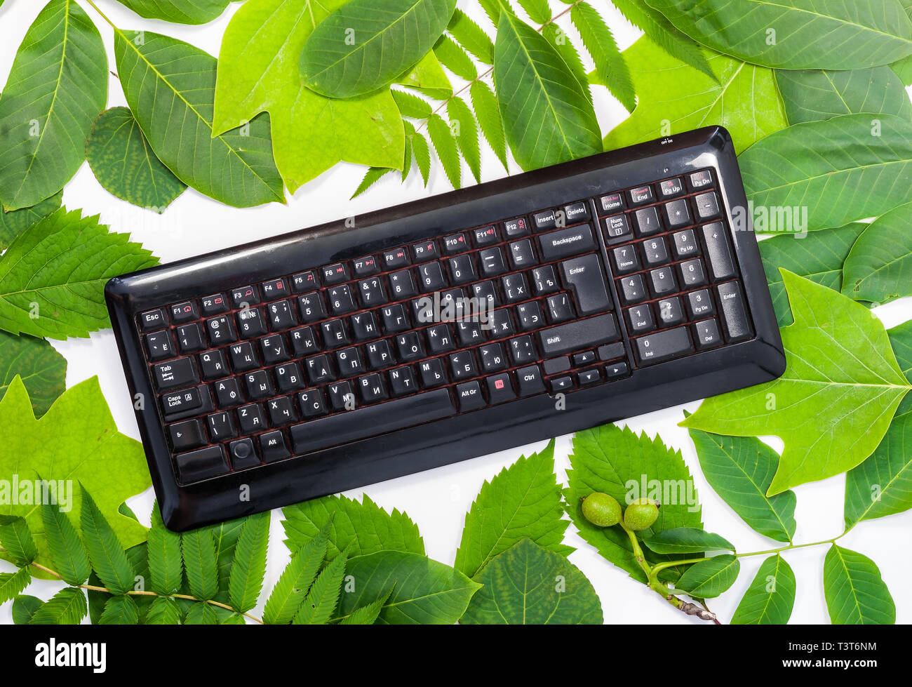 Frame from green leaves with computer keyboard Stock Photo - Alamy