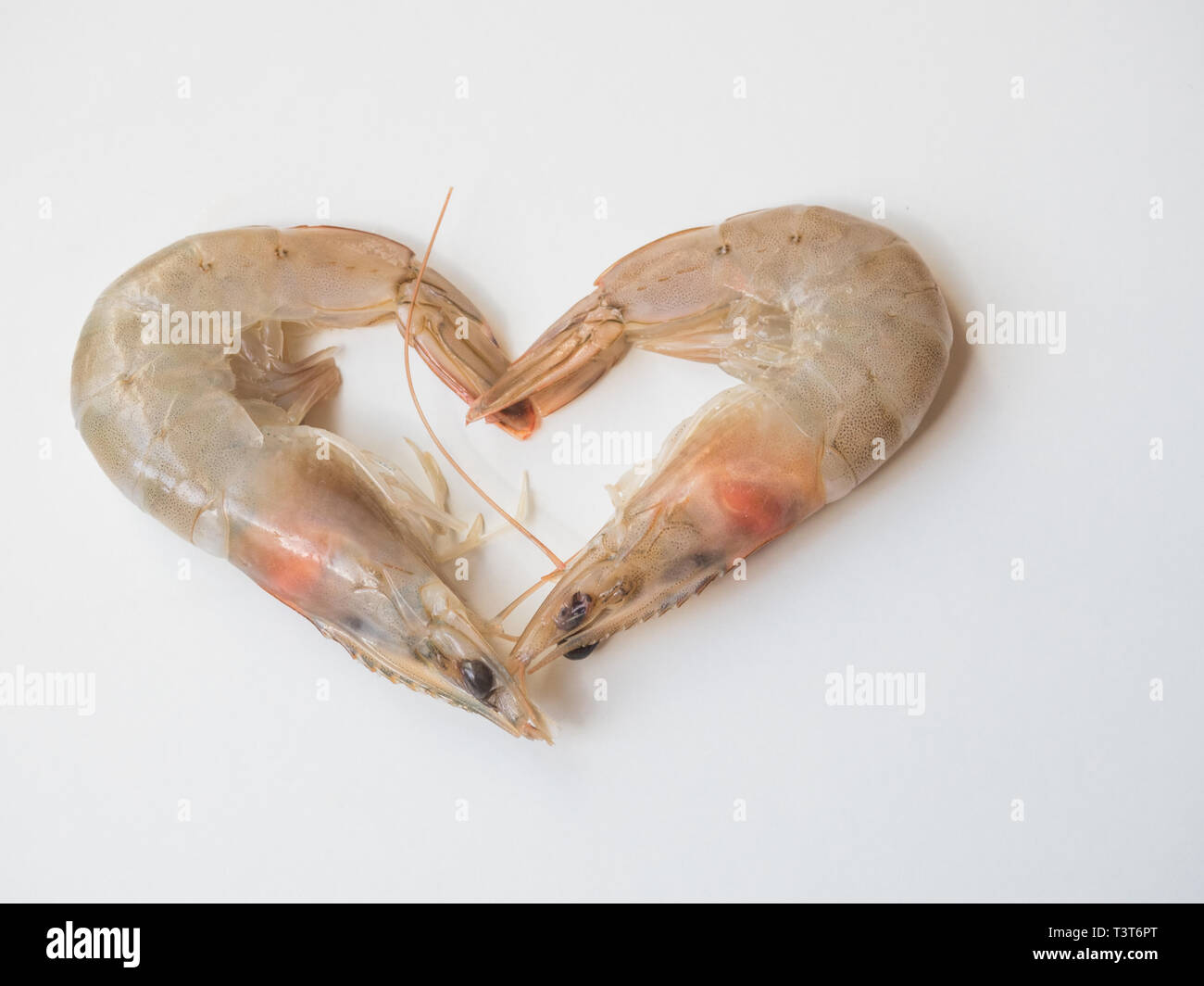 White shrimps forming a heart on white background Stock Photo - Alamy
