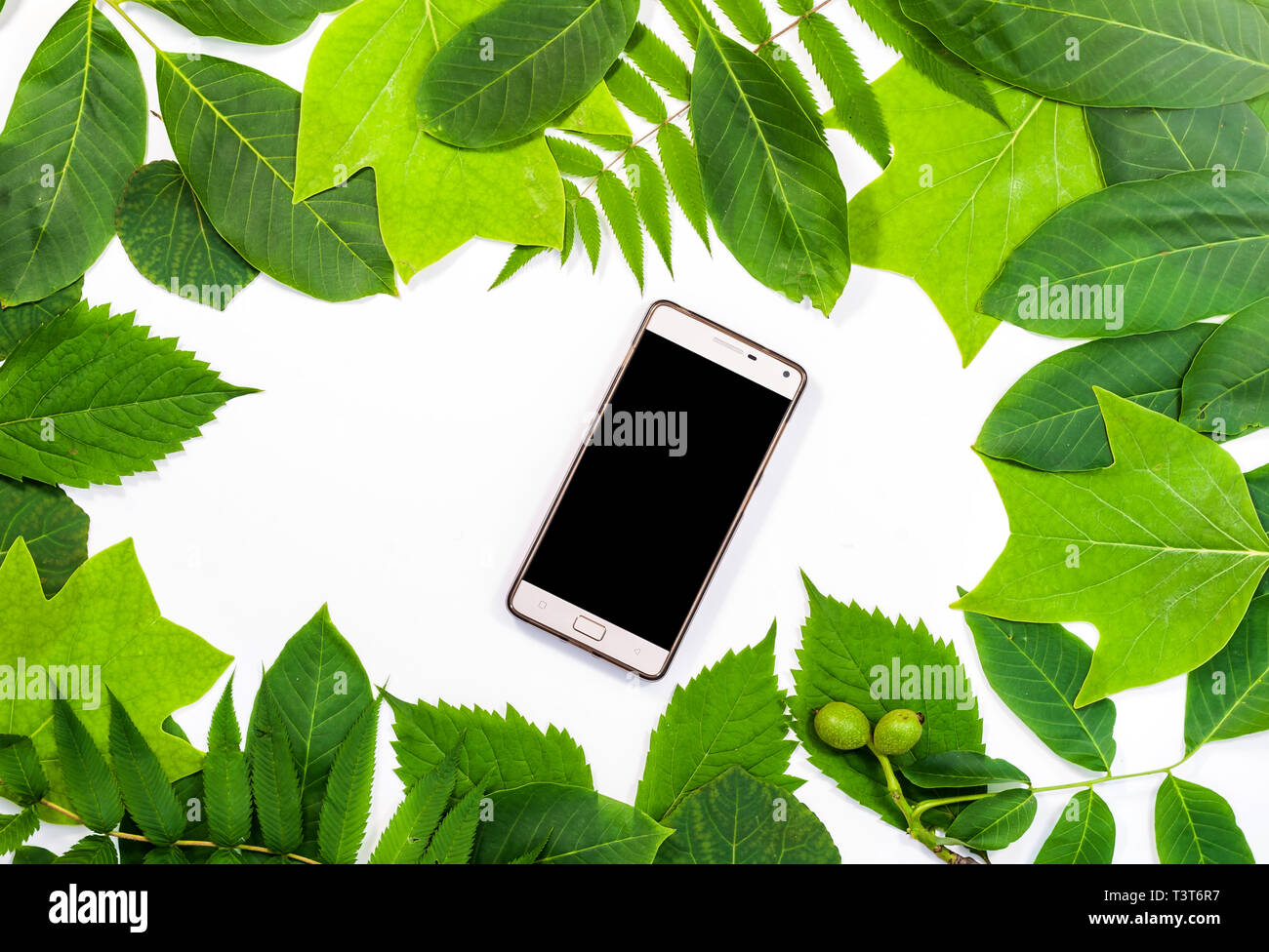 Frame from green leaves with mobile phone Stock Photo - Alamy