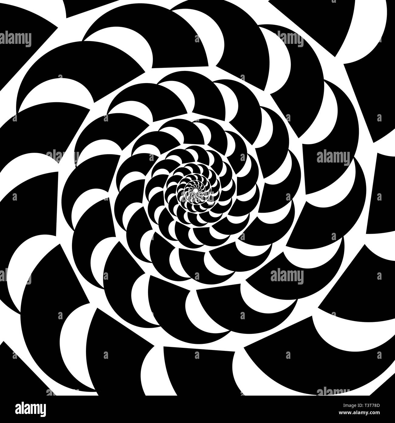 Abstract vector shell. Spiral shape, shell. Design element on white ...