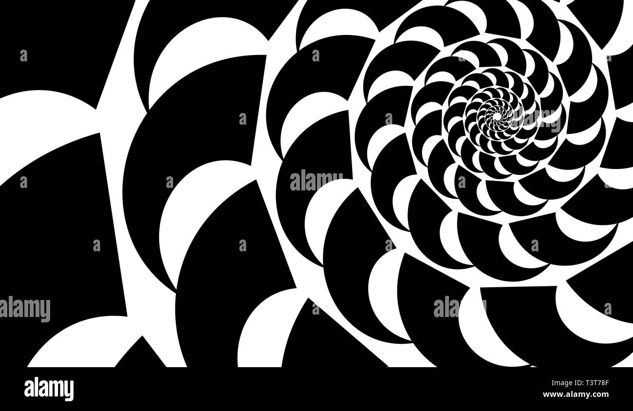 Abstract vector shell. Spiral shape, shell. Design element on white ...
