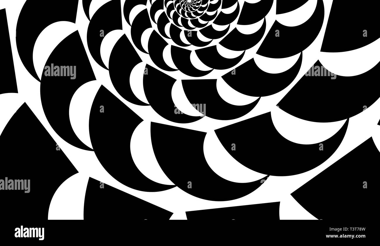 Abstract vector shell. Spiral shape, shell. Design element on white ...