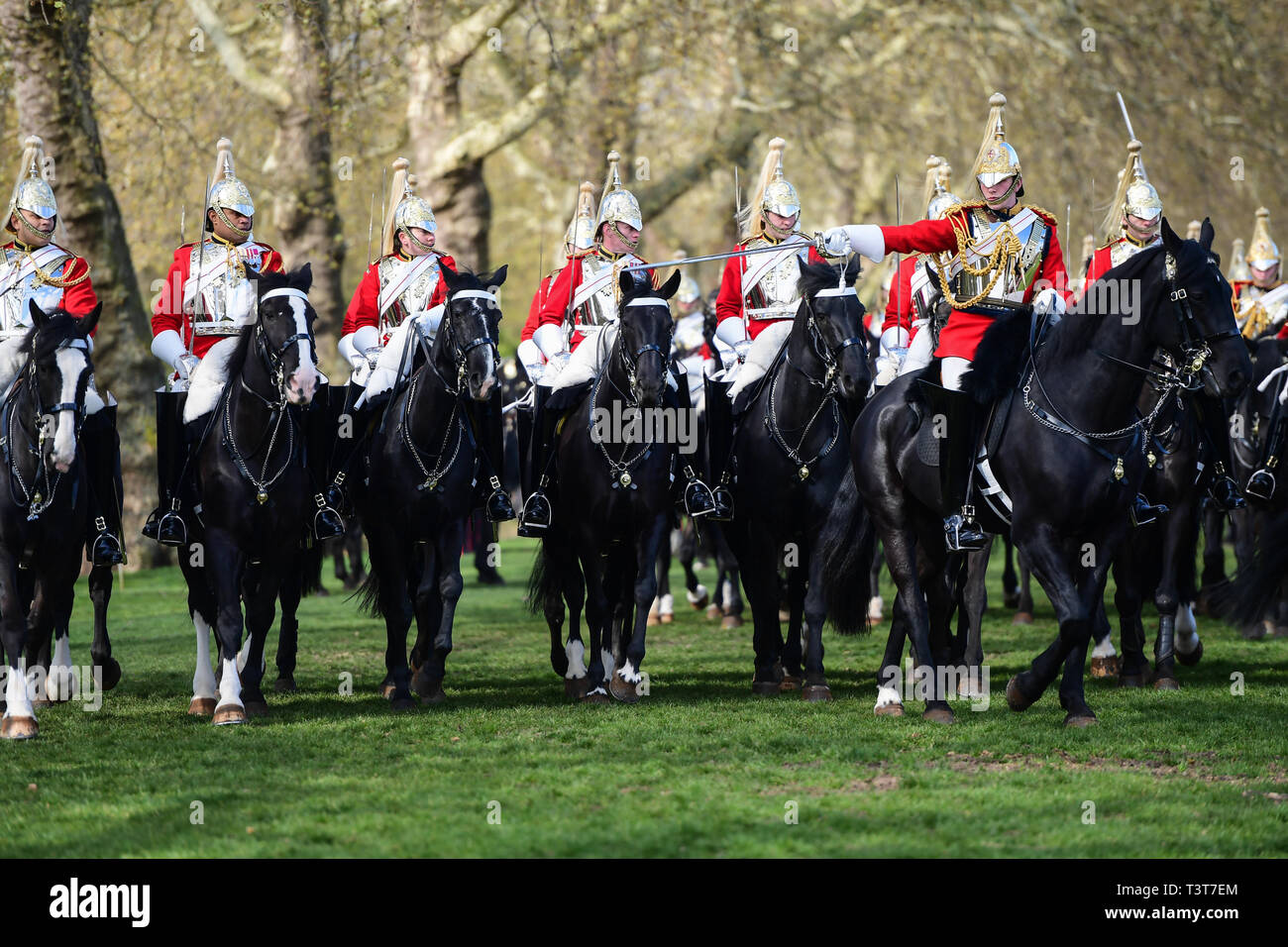 The household cavalry mounted regiment salute major general during hi ...