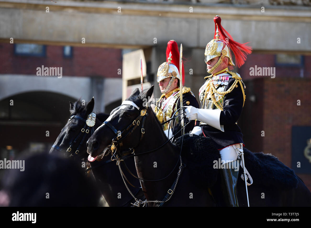 Household Cavalry Mounted Regiment Hyde Park Barracks High Resolution ...