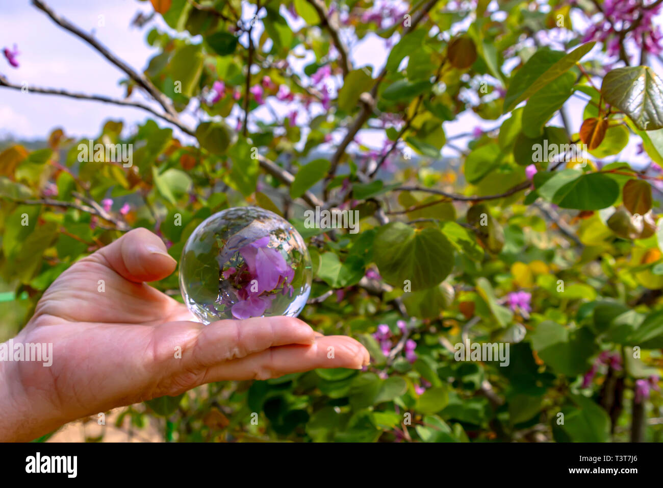 Holding crystals hi-res stock photography and images - Alamy