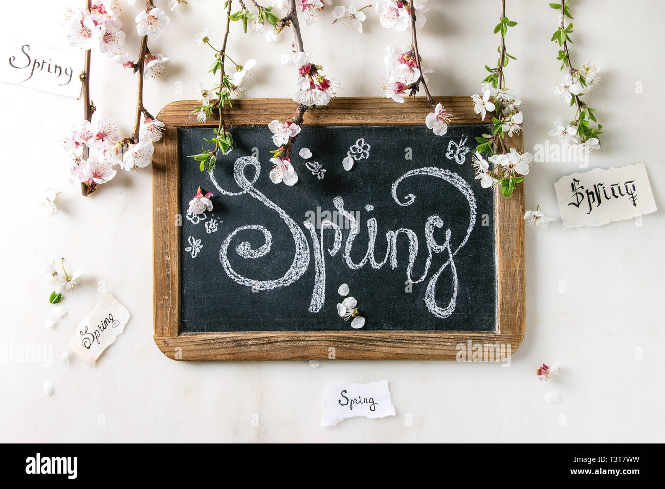 Spring blossom flowers pear and cherry branches, Vintage chalkboard ...